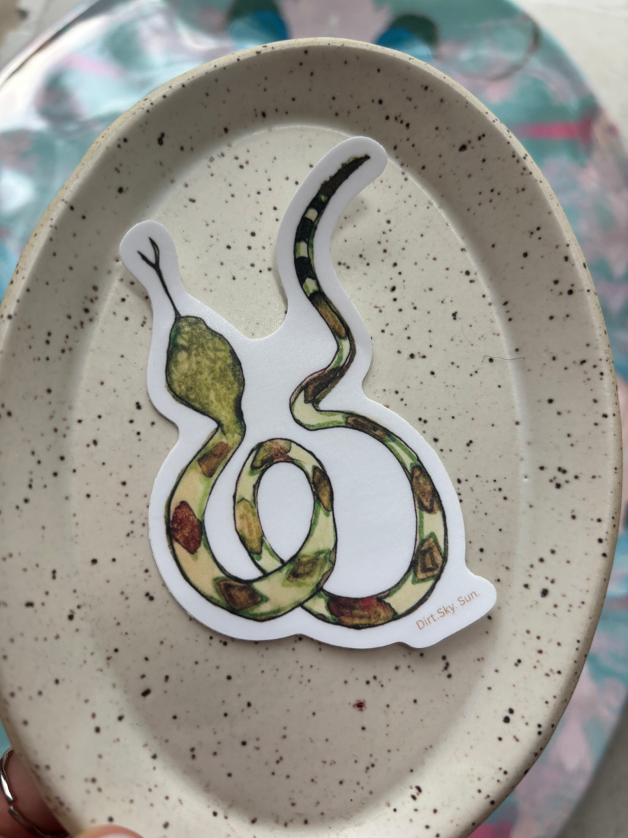 Rattlesnake . Sticker . Dirt. Sky. Sun. – sfingidayatx